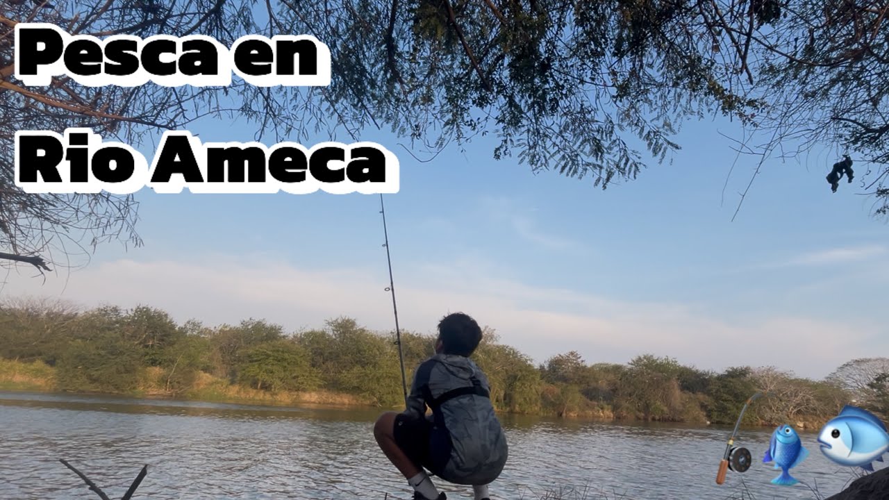 Pesca en el río Ameca 🐊🐊 con mi jefe - YouTube