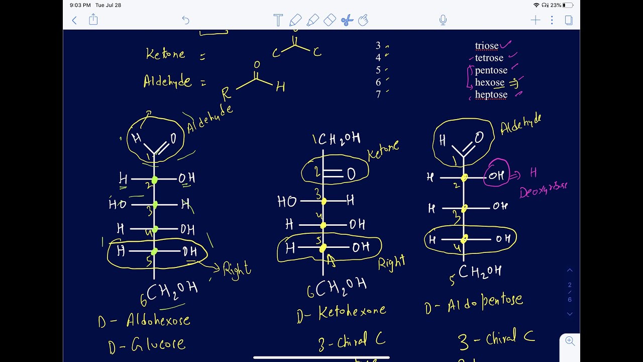 Introduction of carbohydrates. Monosaccharides. How to determine aldose ...