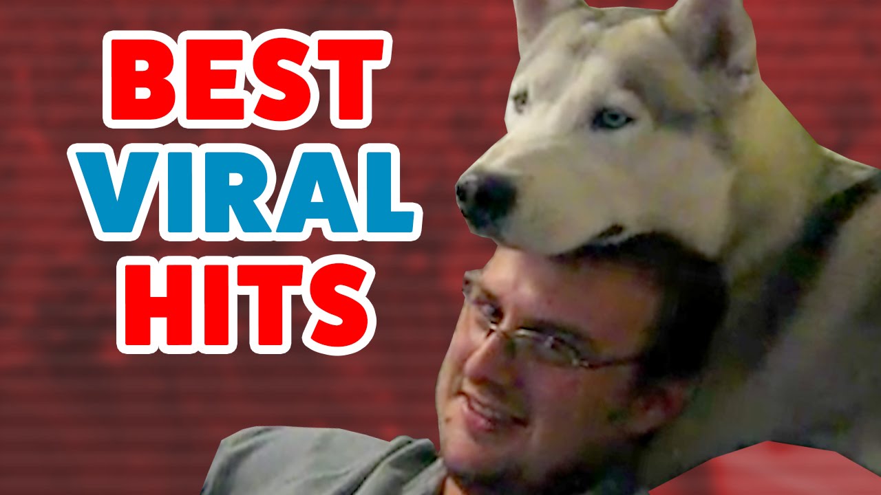 ☺ AFV (NEW!) Funniest Viral Home Video & Bloopers of 2016 (Funny Clips ...