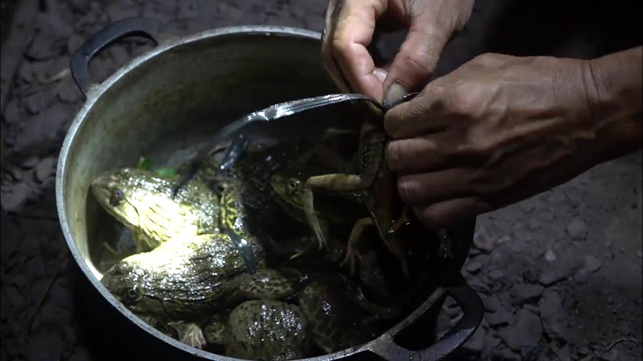 The Scared Son: Single Dad & Giant Python in Chicken Coop, Make a FROG ...