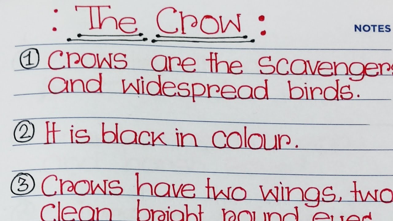 The Crow//10 Lines Essay On The Crow//The Crow Essay 10 Lines In ...