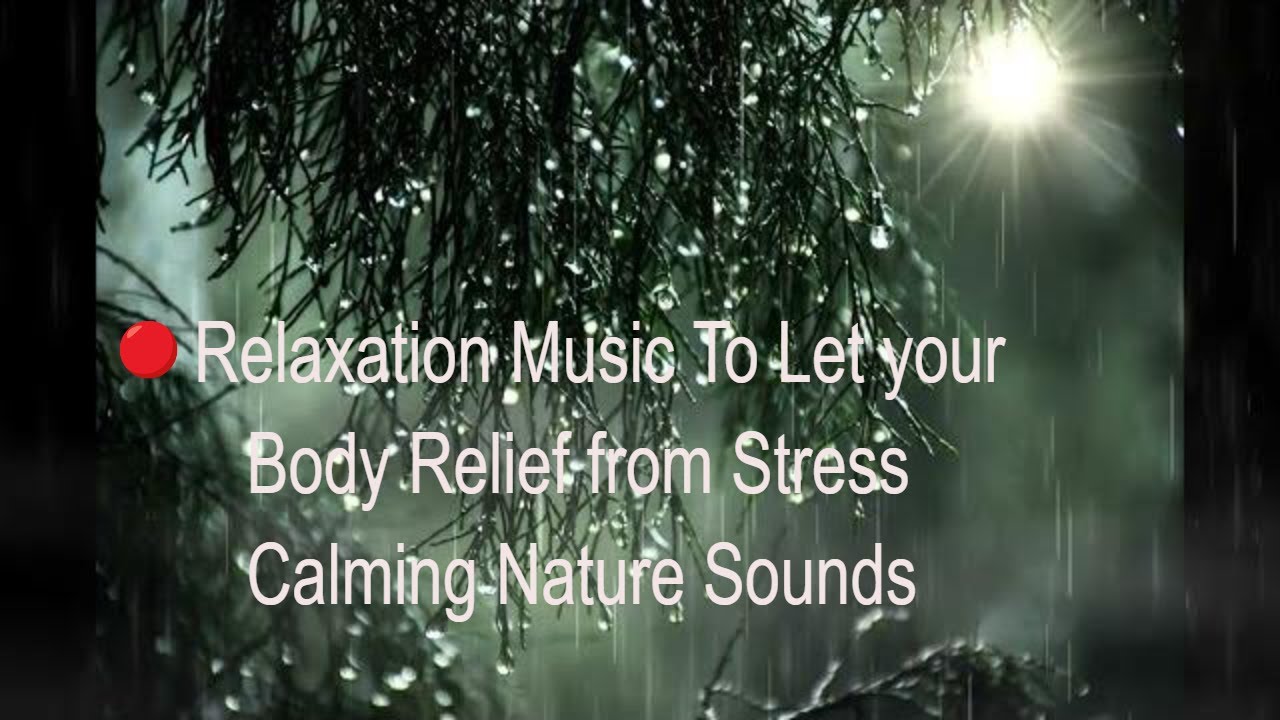 🔴For Your Deep Sleep Relaxation Music and Let your Body Relief from ...