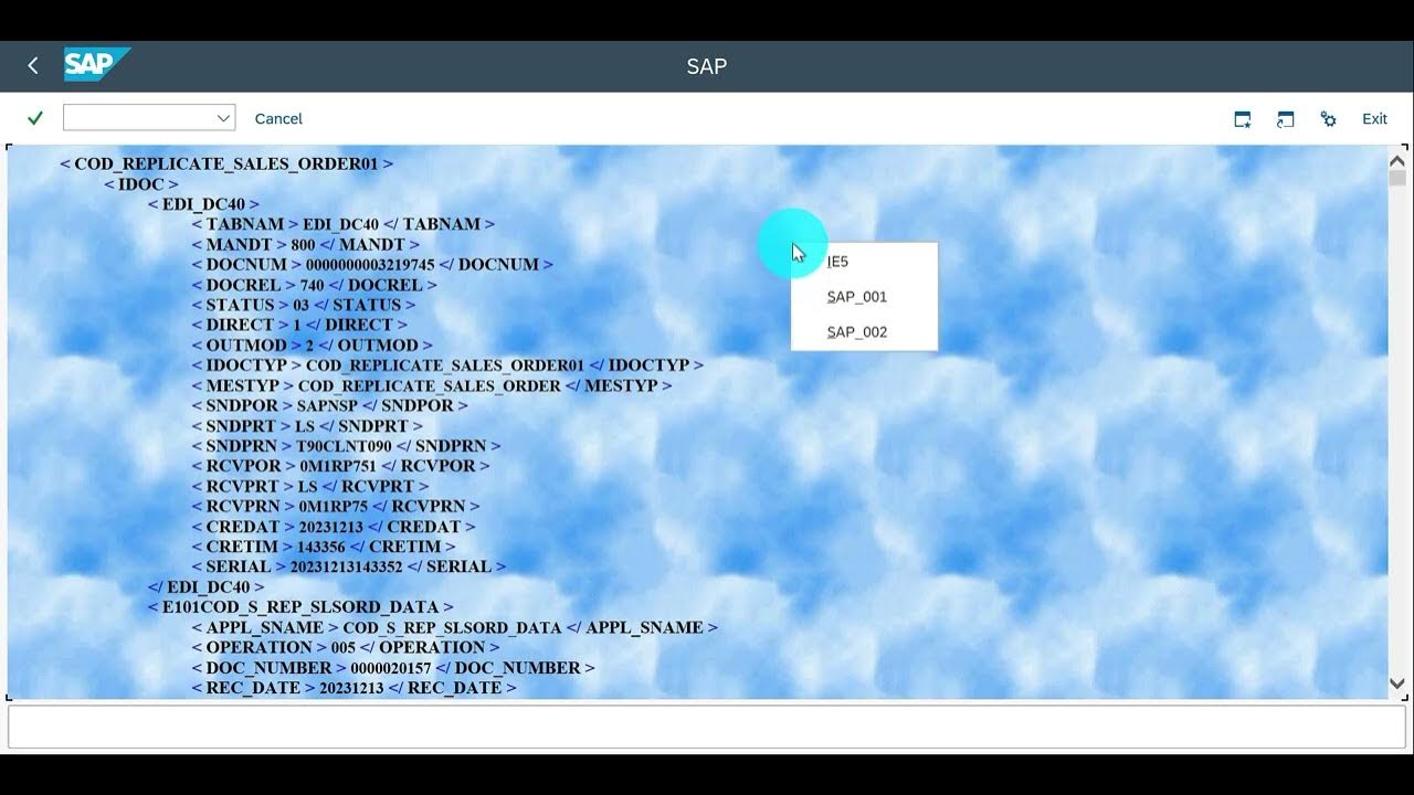 Video 6 - IDOC - Conversion of IDOC into XML format - YouTube