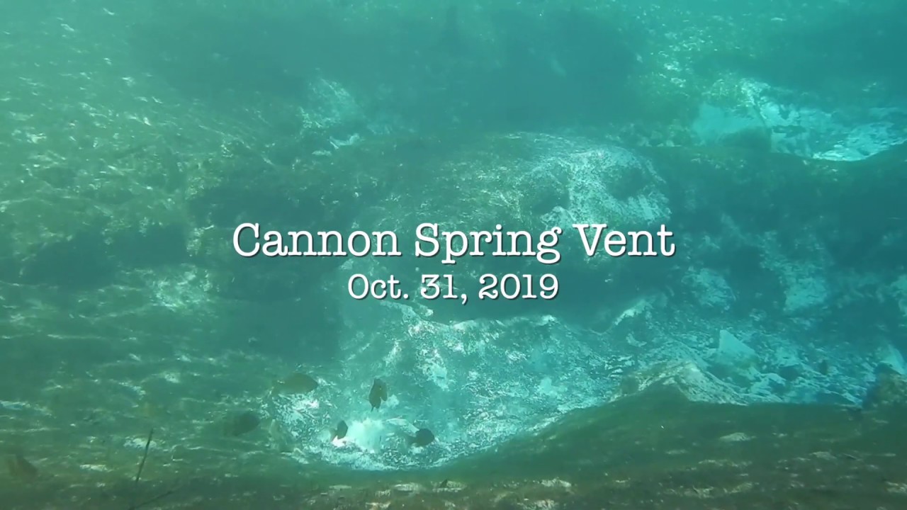 Cannon Springs - Ocklawaha River - YouTube