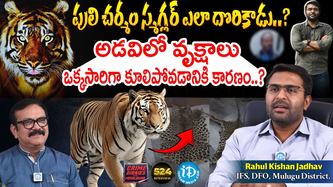 Rahul Kishan Jadhav IFS, DFO Exclusive Interview | Crime Diaries ...