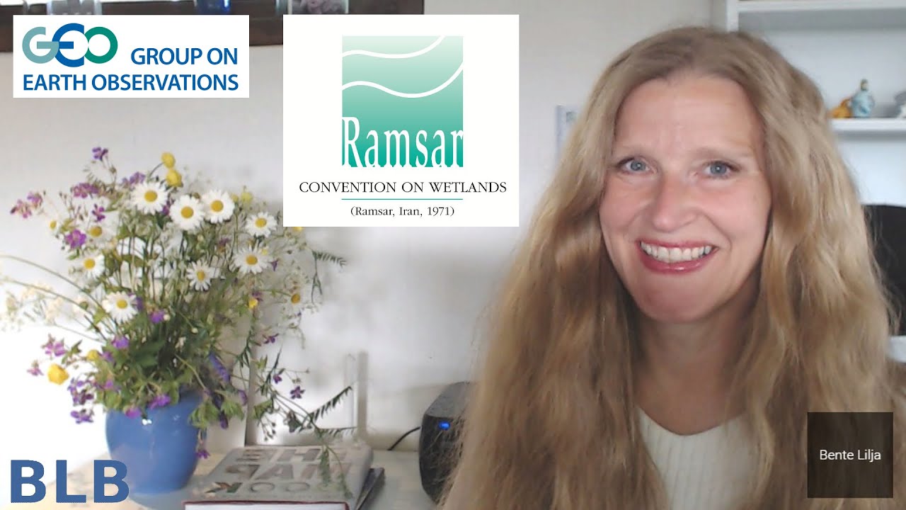 Wetlands, Biodiversity, and Earth Observations - YouTube
