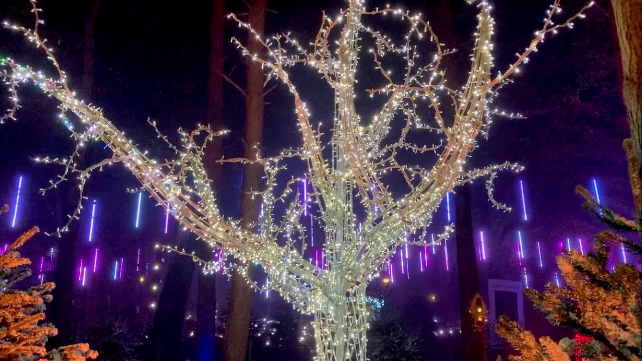 Center Parcs Winter Wonderland - YouTube