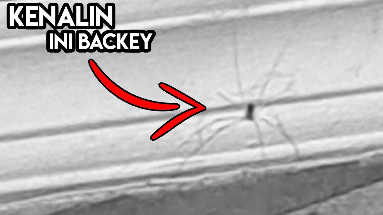 Backey (Cerita Beacon IRL) - YouTube