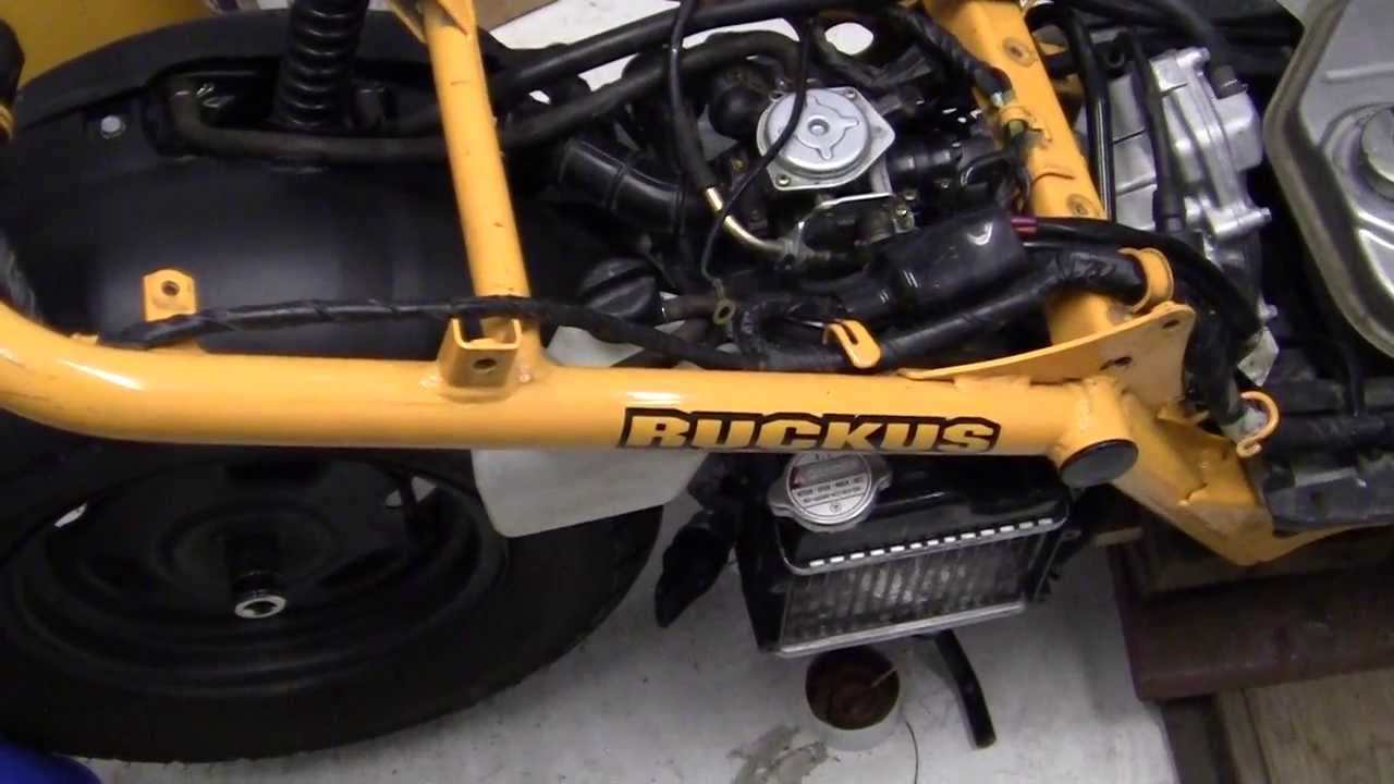 264)- PROJECT Honda RUCKUS - HOW TO= Engine COMPLETE REBUILD - YouTube
