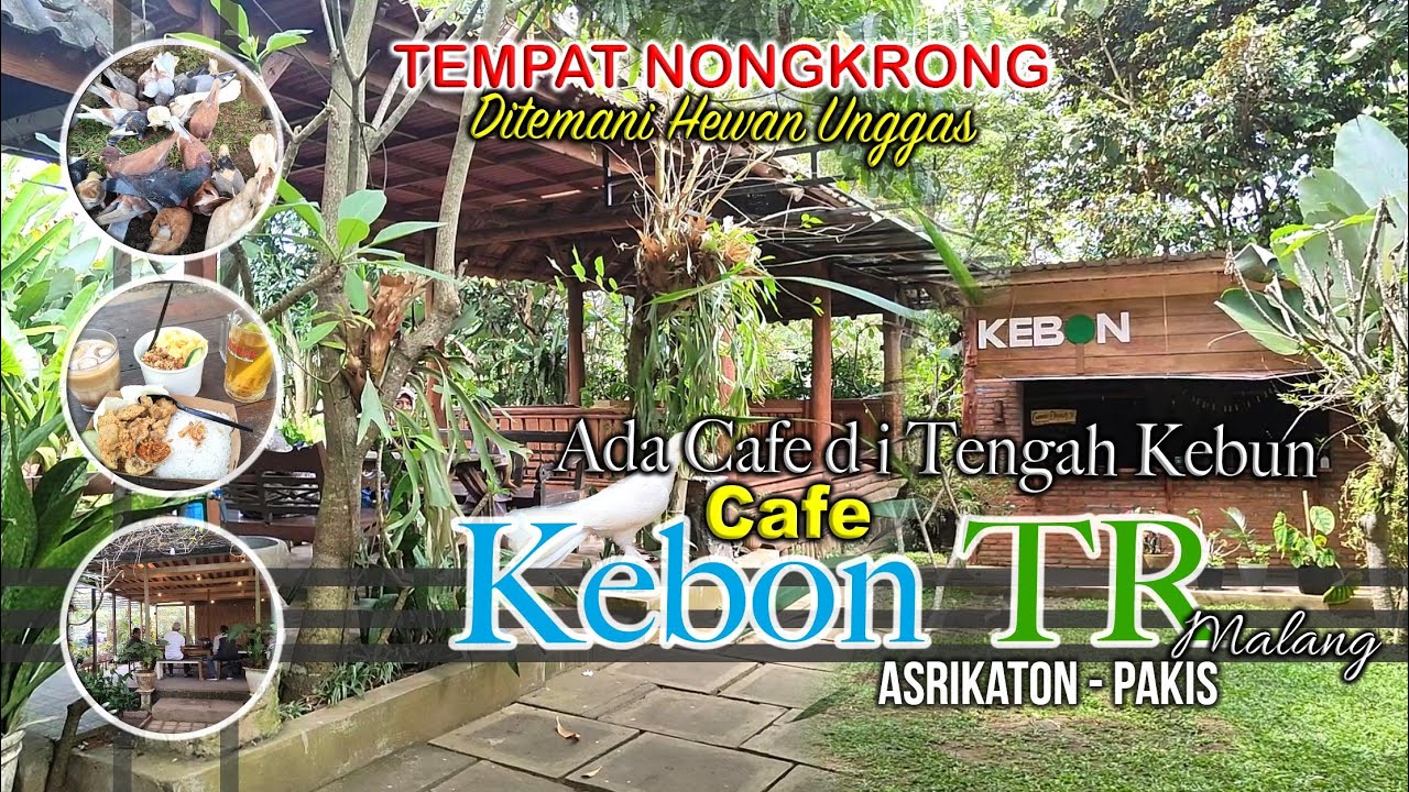 Cafe Kebon TR Asrikaton Pakis Malang - Cafe Malang 2022 - YouTube