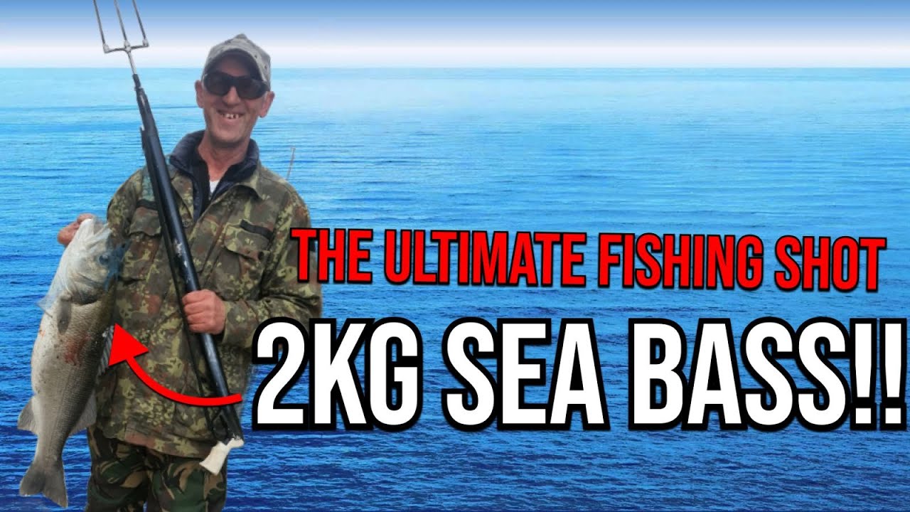 The Ultimate Fishing Shot: See This Fisherman's Impressive 10-Meter Hit ...