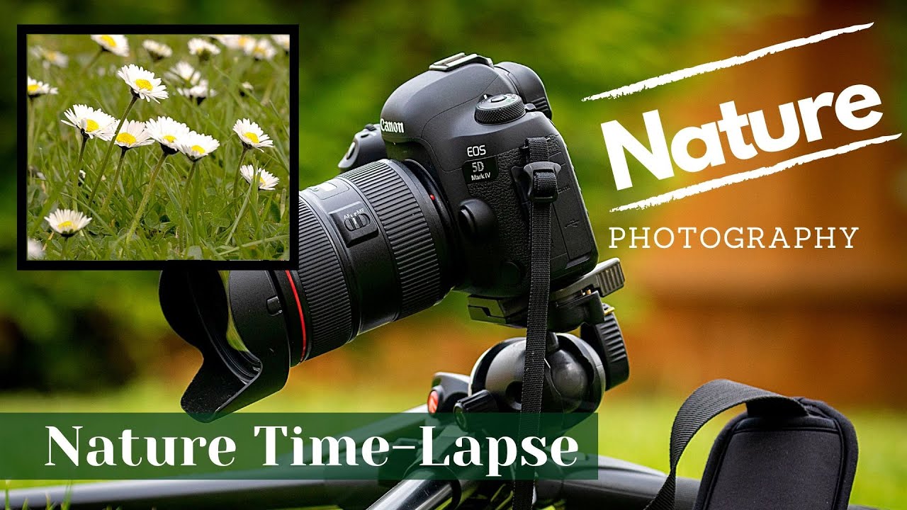 GARDEN NATURE PHOTOGRAPHY UK | Ep 6 | Nature on the move | Time-Lapse ...