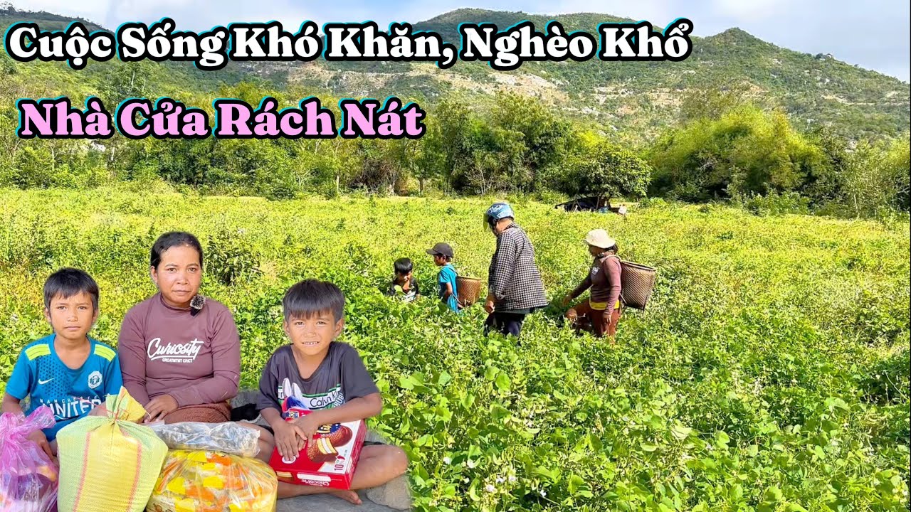 3 Mẹ Con Sống Trong Căn Nhà Rách Nát. Không Có Gì Để Ăn, Ăn Cơm Với Lá ...