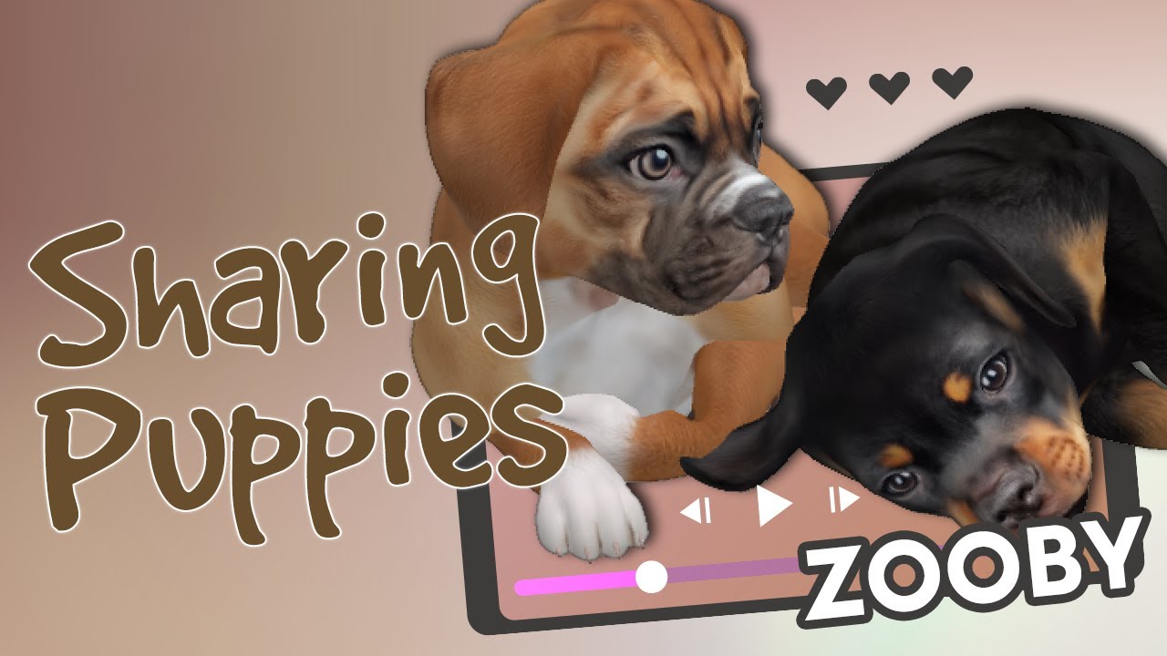 Sharing Zooby Animesh Puppies with Friends - YouTube