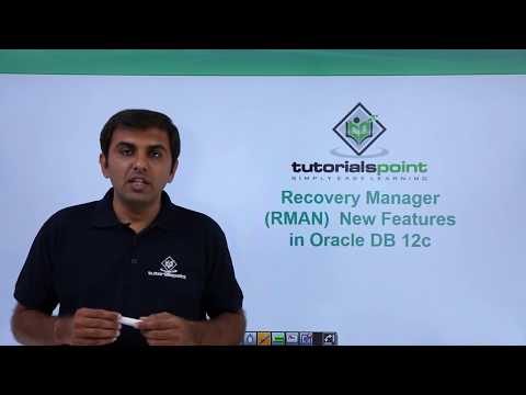 How To Find Exact Scn Number For Oracle Restore