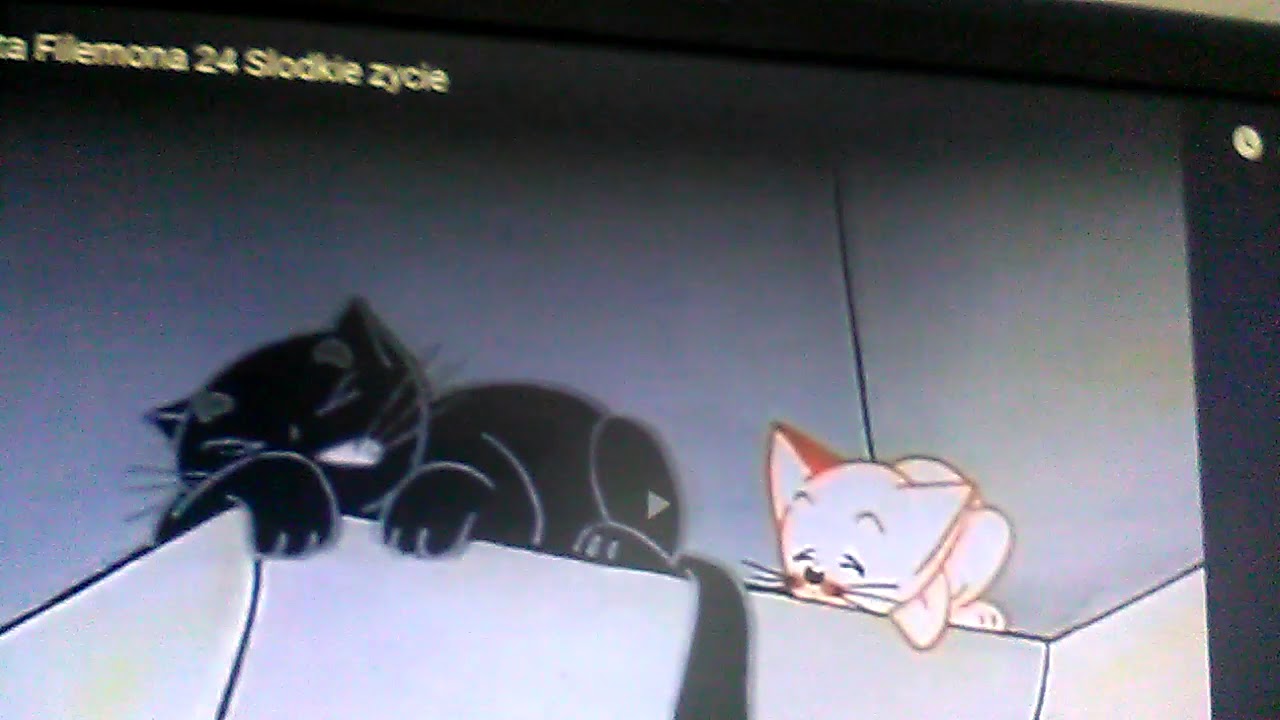 Kot Filemon - Everybody Say a see - YouTube