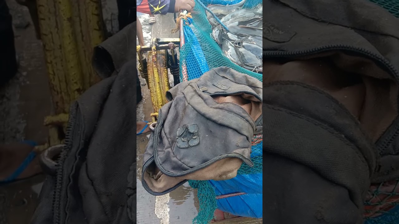 pantat fish 🐠🐟 - YouTube