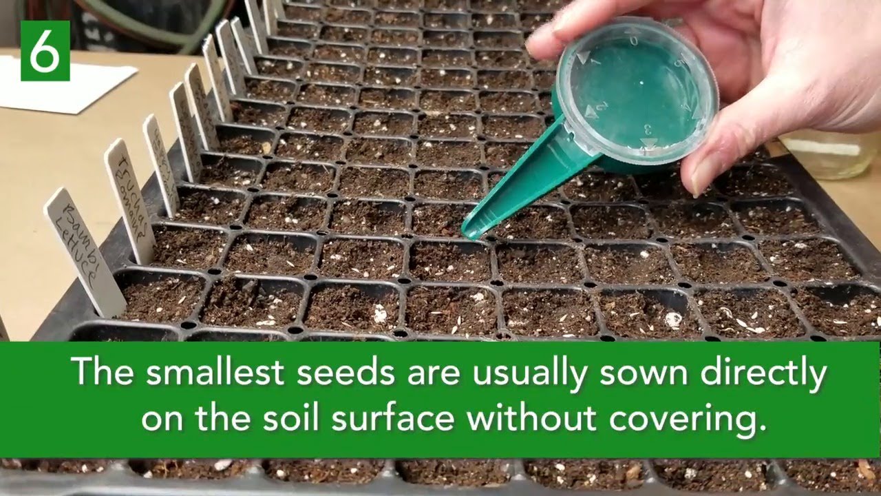 15 Tips to Make Seed-Starting Easier - YouTube