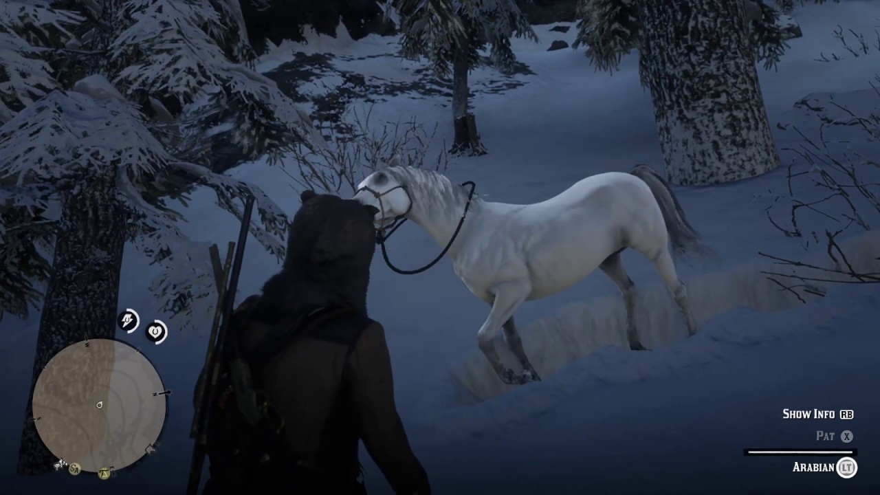 Red Dead Redemption 2 - Taming a wild White Arabian Horse - YouTube