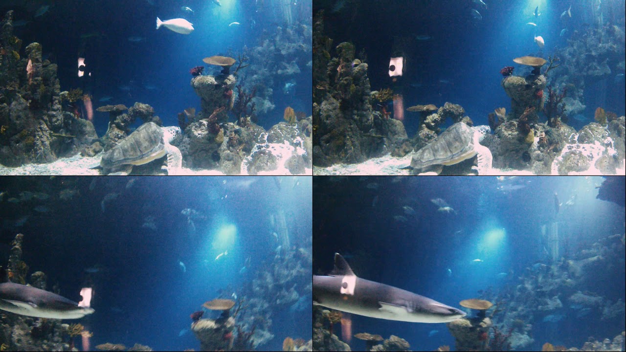 Exploring the Deep Hull - YouTube