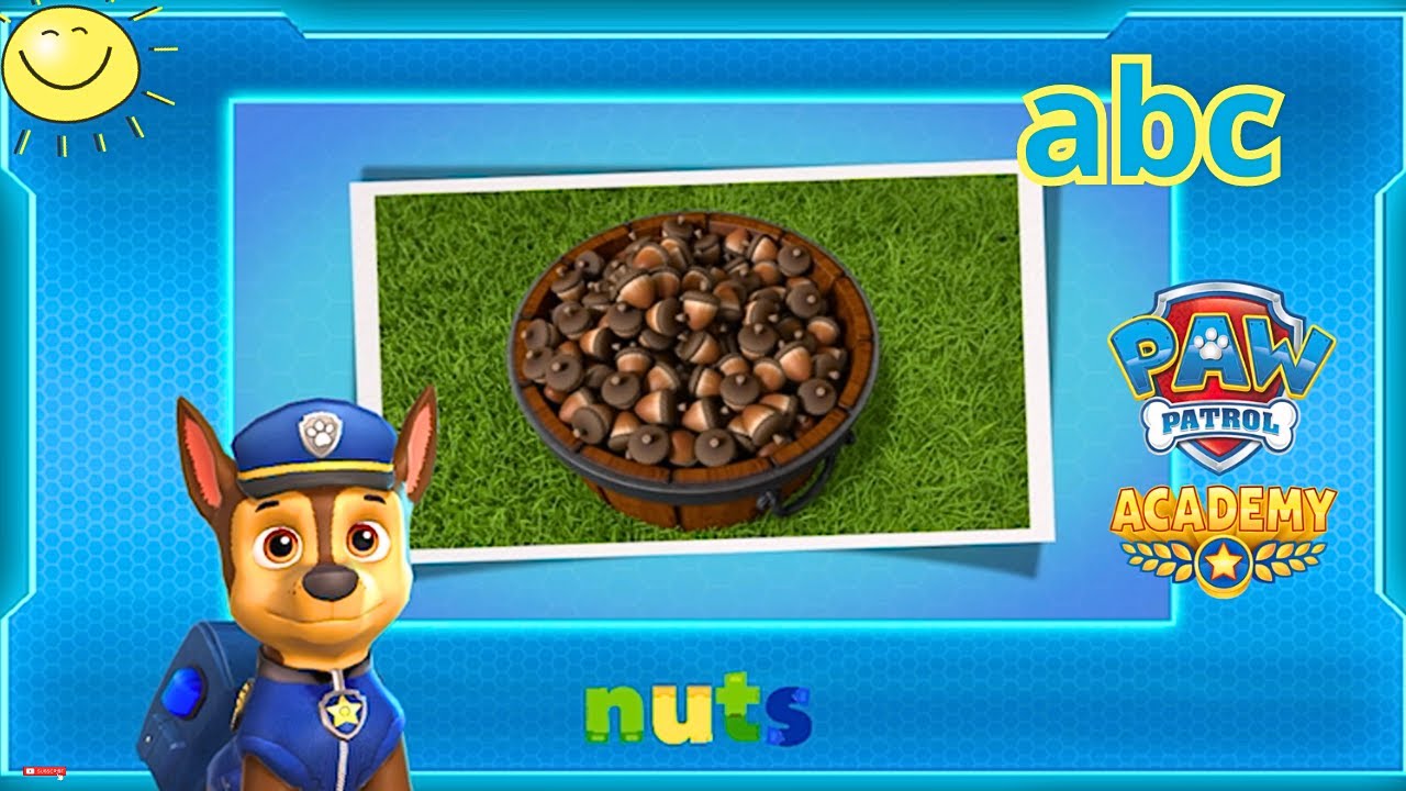 PAW Patrol Academy | Learn ABC's With Chase | Spell the Word "nuts ...