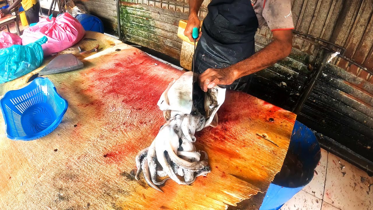 Watch This Spectacular Cuttlefish Cutting Skills From A Best Fish ...