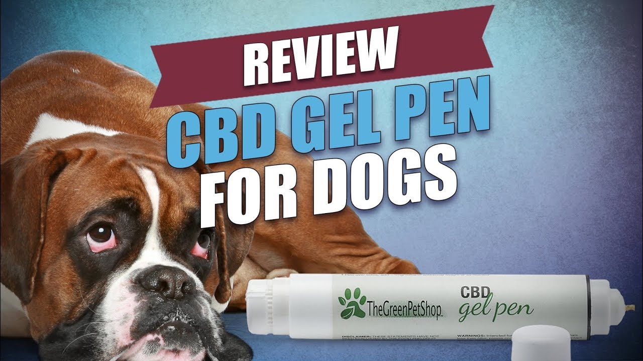 CBD Gel Pen for Dogs Review - YouTube