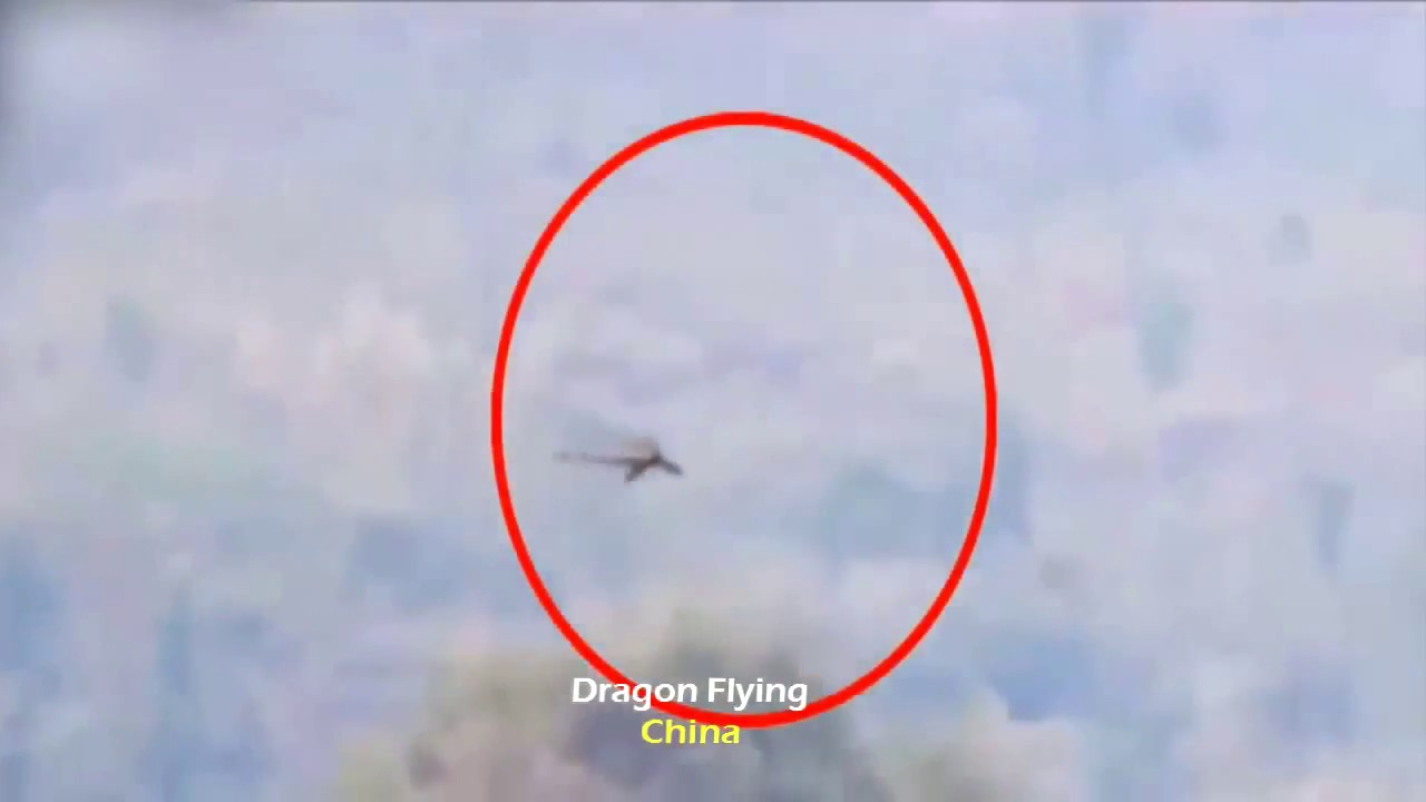 Giant Unseen Creatures Caught on Camera - YouTube