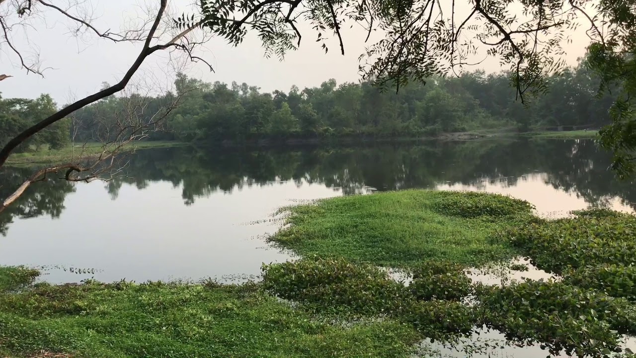 A mesmerising view from Gunjan Park - YouTube