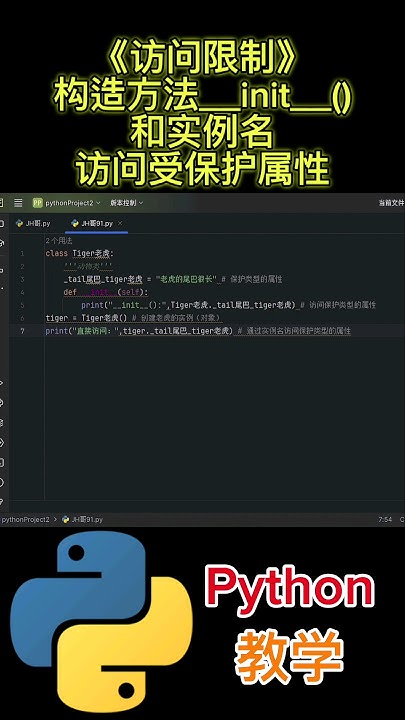 《访问限制》构造方法init和实例名访问 受保护属性 Python Python教学 Python编程 Python入门 Coding 基础代码 Youtube