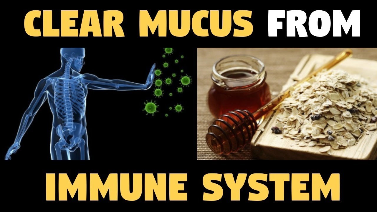 THIS SIMPLE DRINK WILL CLEAR MUCUS FROM YOUR IMMUNE SYSTEM - YouTube