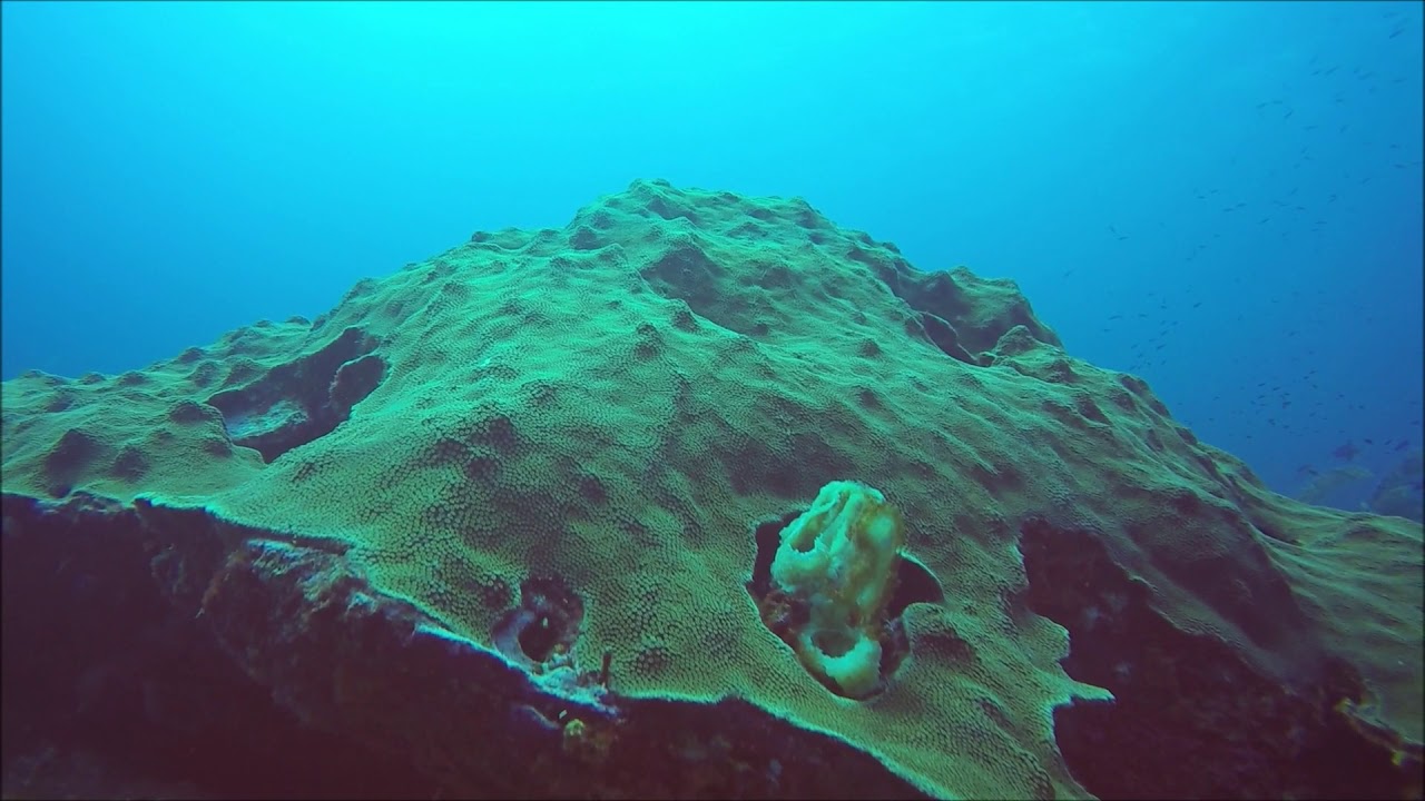 Boka Onima 25 09 2018 - YouTube