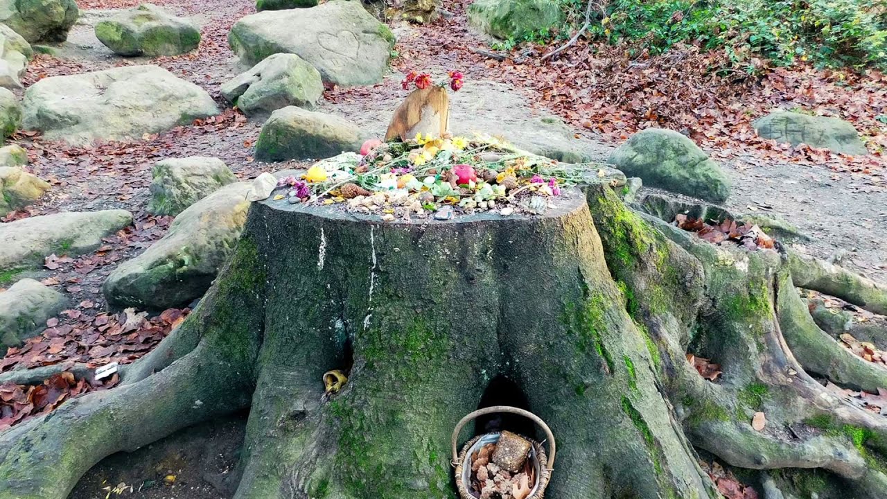Der Aaper Wald in Düsseldorf - YouTube