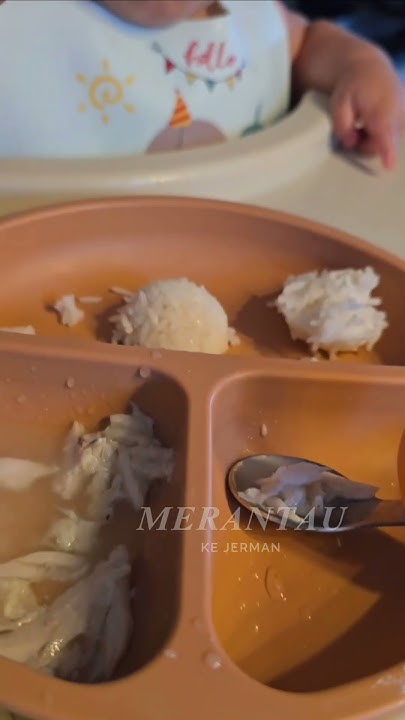 Simple BLW Idea for Dinner : Nasi + Sup Ayam + Tomat #blw #blwideas #blwrecipes #mpasi #blwbaby ...