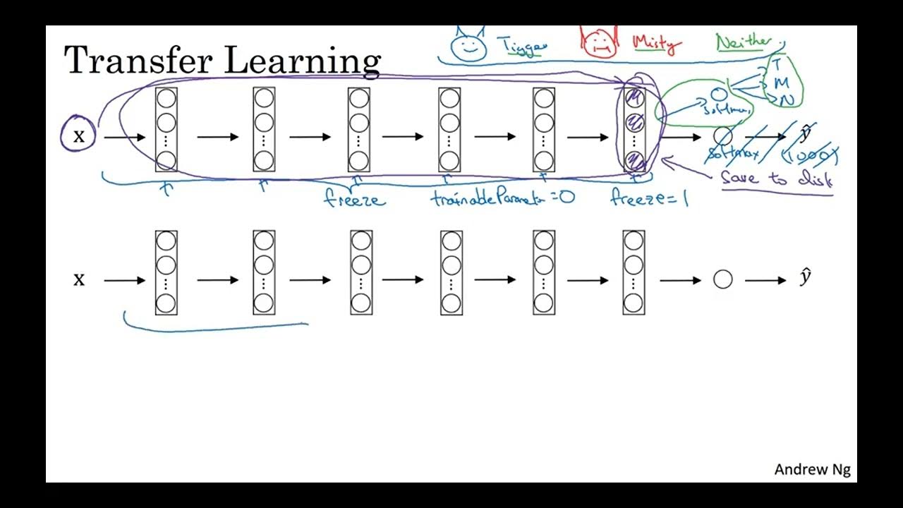 24. Học chuyển giao (Transfer Learning) - [Convolutional Neural ...