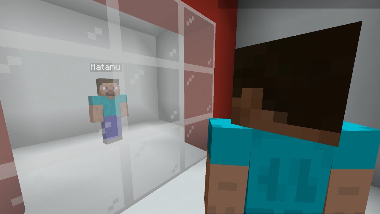 I made a working Mirror in Vanilla Minecraft - YouTube