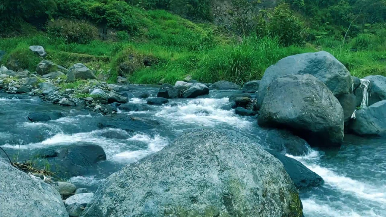 Sleep Stream | Continuous River Flow to Sleep Peacefully and Clear Your Thoughts - YouTube