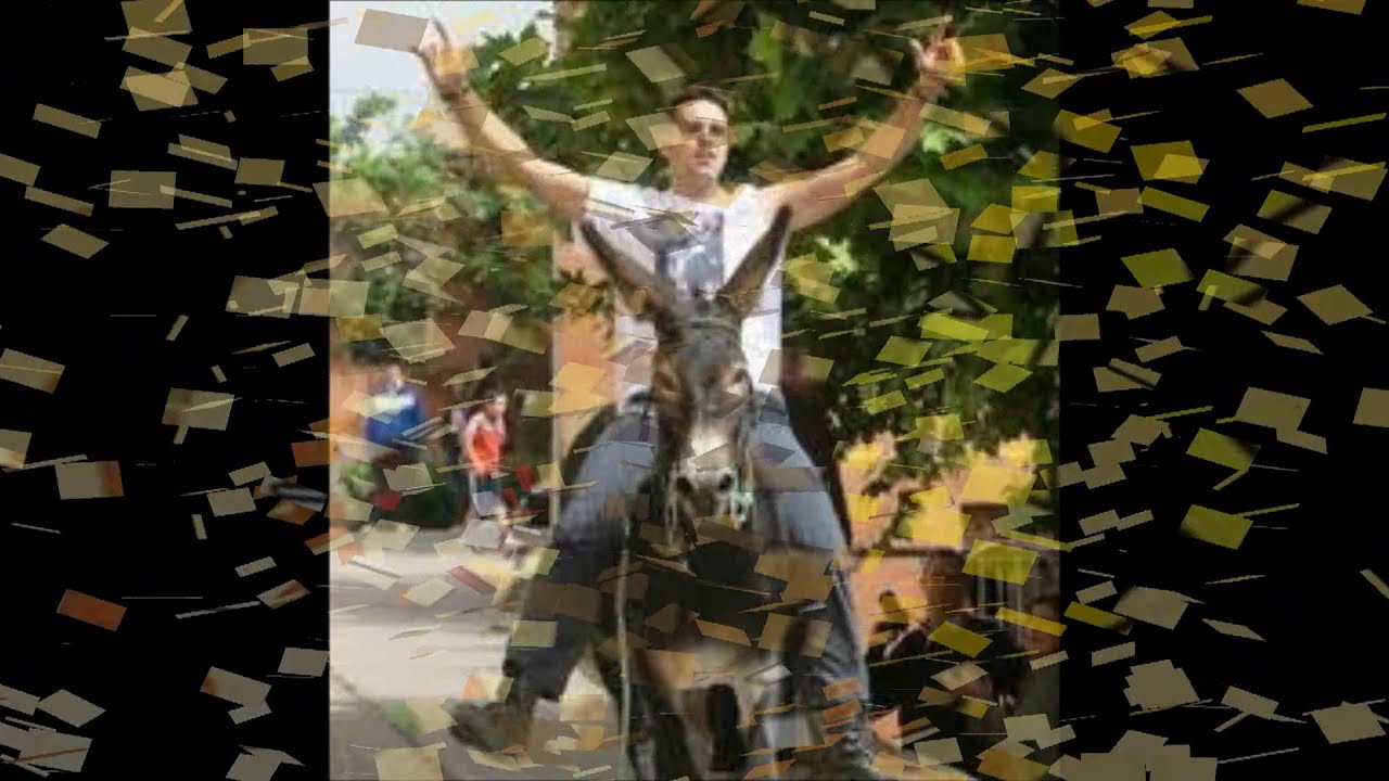 EL BURRO HYPHY LOS NARQUILLOS DE LA SIERRA - YouTube
