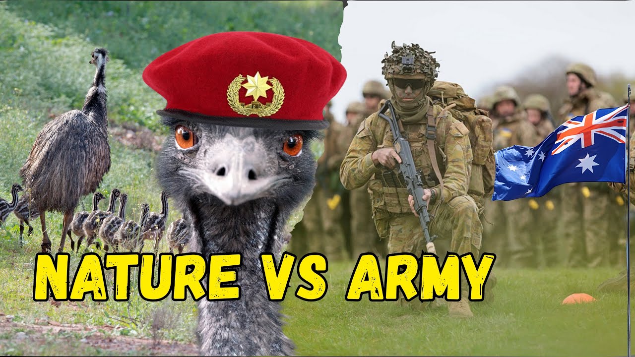 The Great Emu War of 1932 | Its Released - YouTube