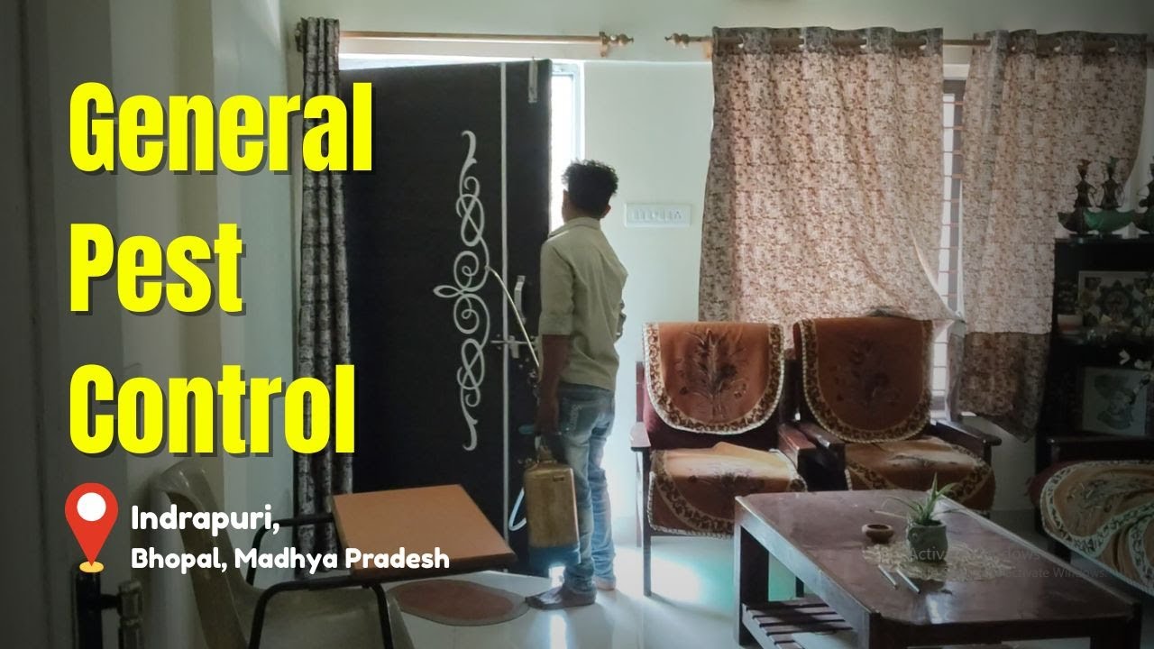 General Pest Control at Indrapuri, Bhopal | Best Pest Control Service ...