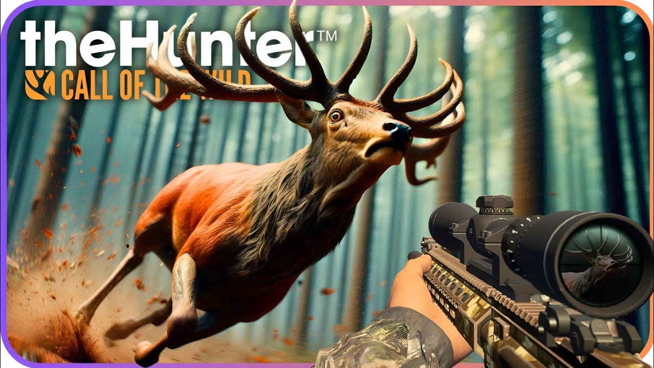 Epic Red Deer Adventure in Hirschfelden - Join the Hunt! - YouTube