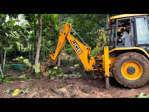 Jcb 3dx cutting branches of tree and dumping into pit #jcb #jcb3cx # ...