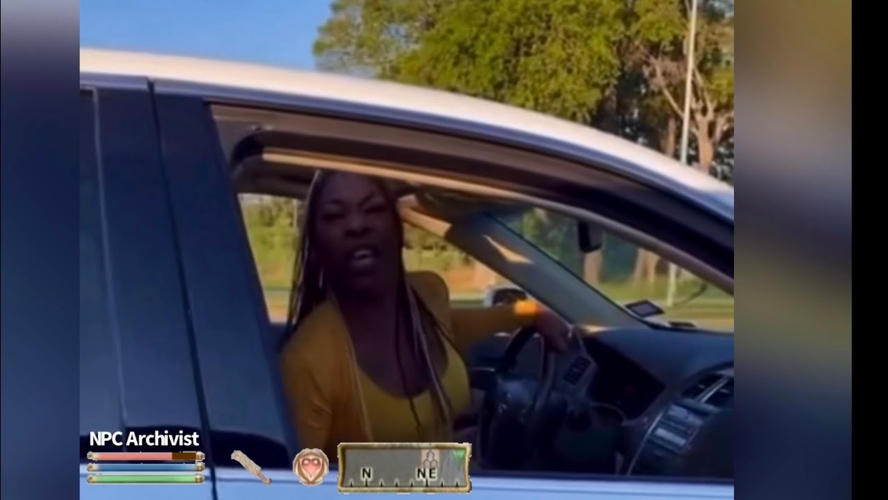 Aggressive NPC Encounter While Fast Traveling | Oblivion NPC - YouTube