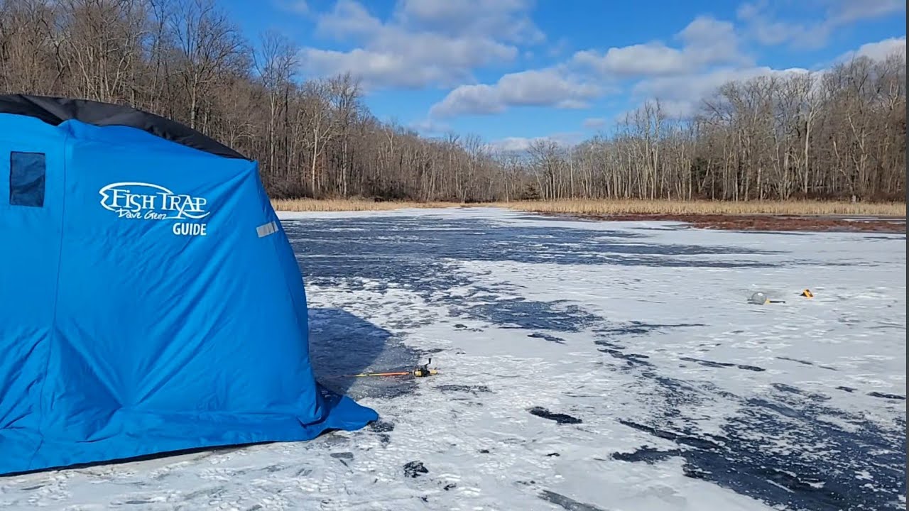 ANY FIN Live from the Love Shack - YouTube