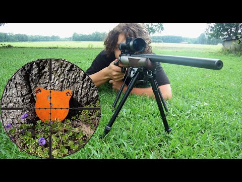 22lr VS 340 Yards! - YouTube