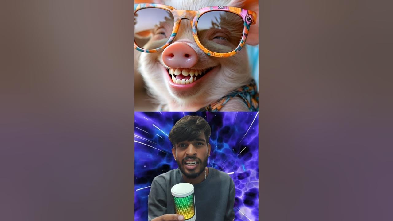 Day(1) Pig Human DNA 98% Same #facts - YouTube