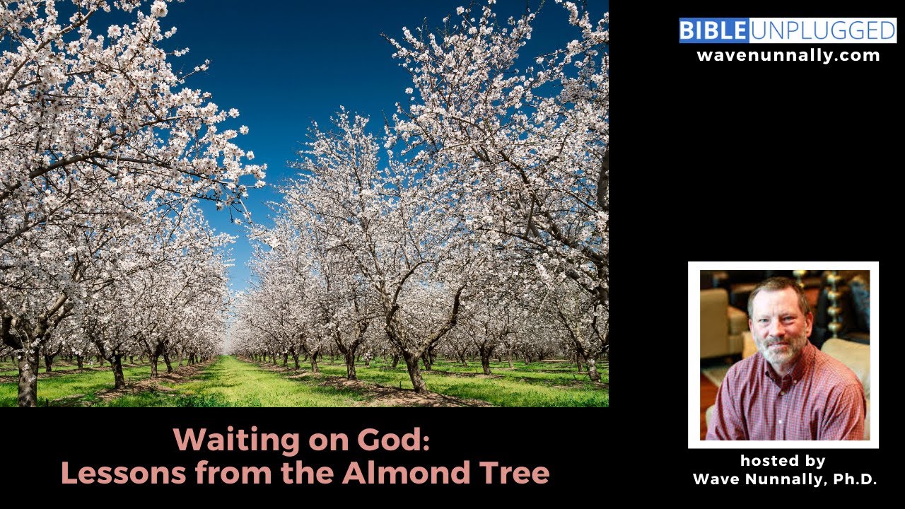 Waiting on God: Lessons from the Almond Tree - YouTube