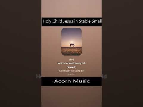 Holy Child Jesus in Stable Small//Acorn Music//India - YouTube