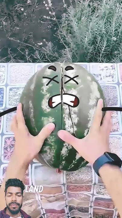 #funny🤣 #doodle #goodland #spongebob #cartoon - YouTube