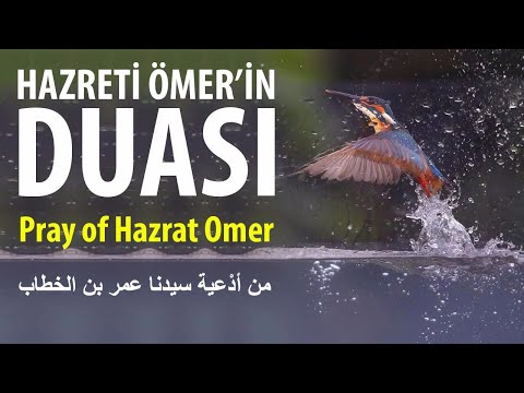 Hz. Ömer'in bir Duası - Gönülden Bir Amin Diyelim